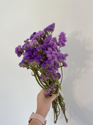 Dried Statice Bunch | The Flower Lab